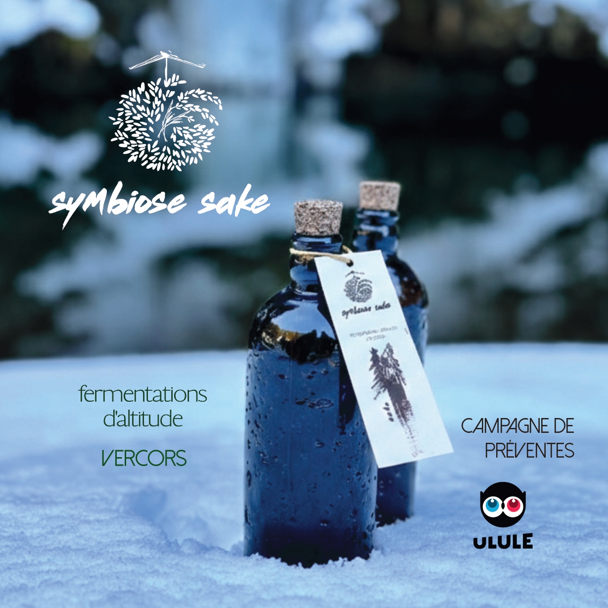 Symbiose Saké - Fermentations d'altitude dans le Vercors - Ulule
