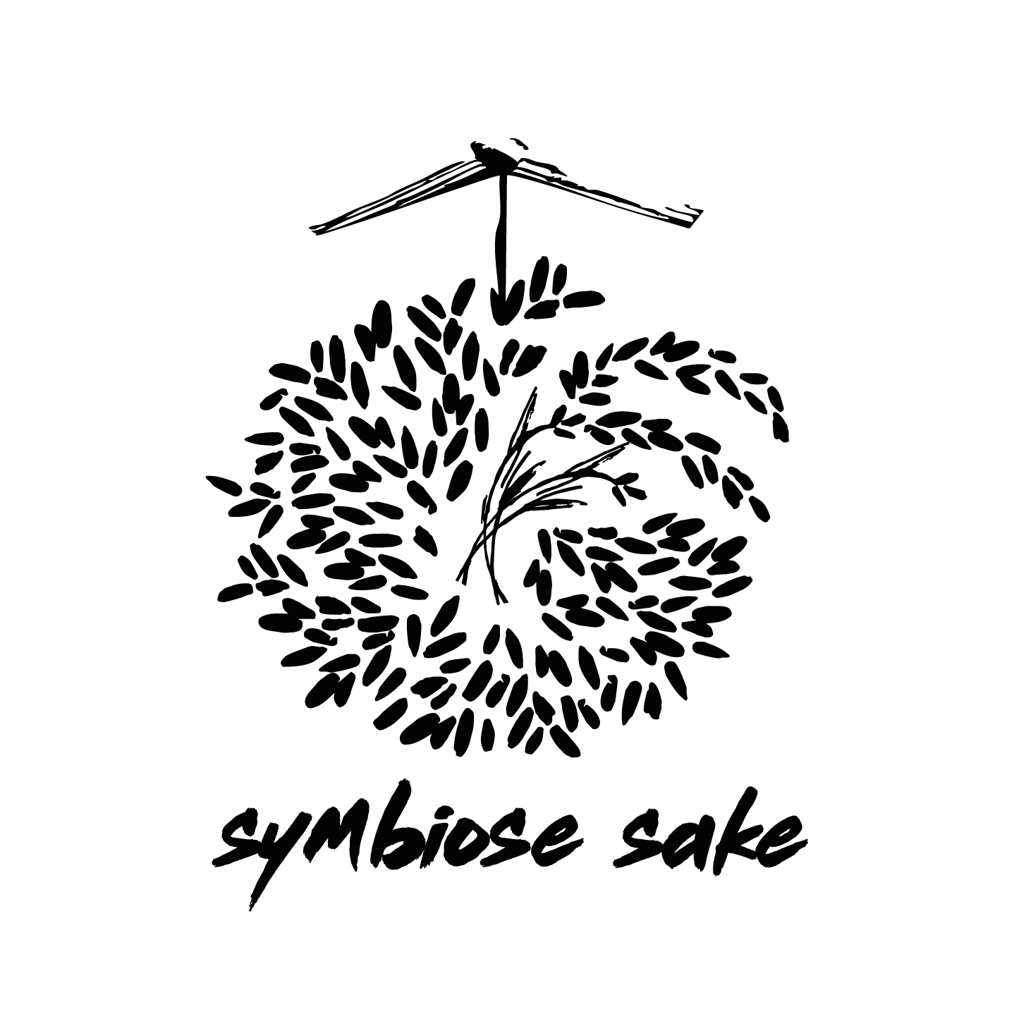 Symbiose Saké - Fermentations d'altitude dans le Vercors - Ulule