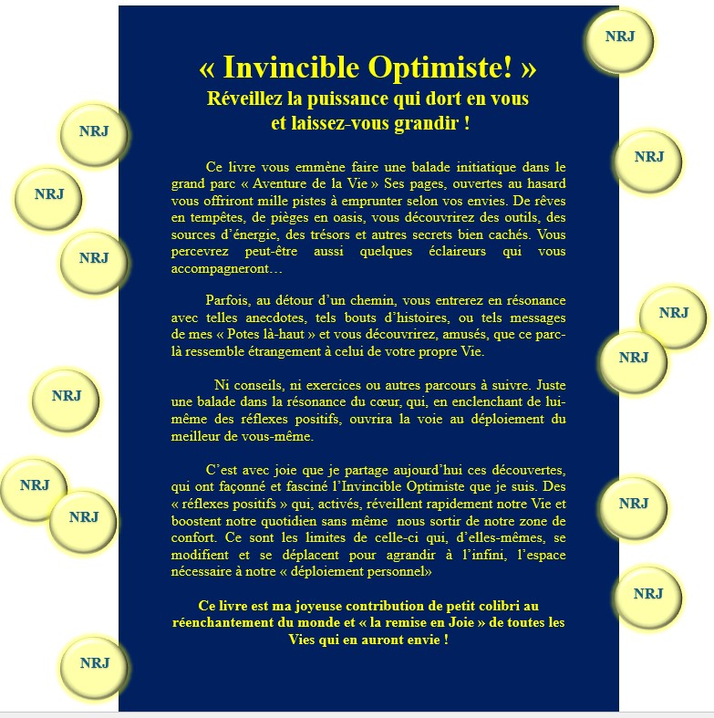 Invincible Optimiste ! - Ulule