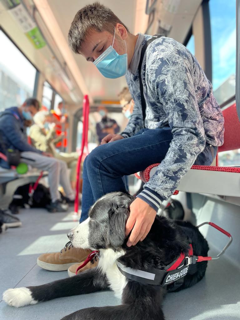 Un chien guide pour un enfant aveugle - Ulule