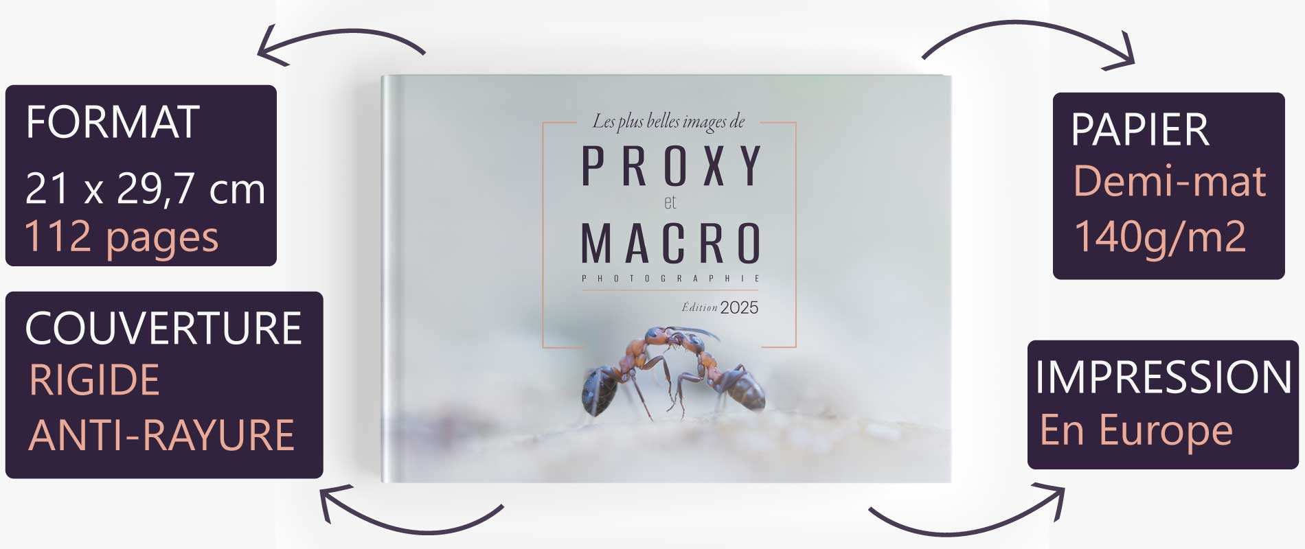 Les plus BELLES images de MACRO et PROXY - Édition 2025 - Ulule