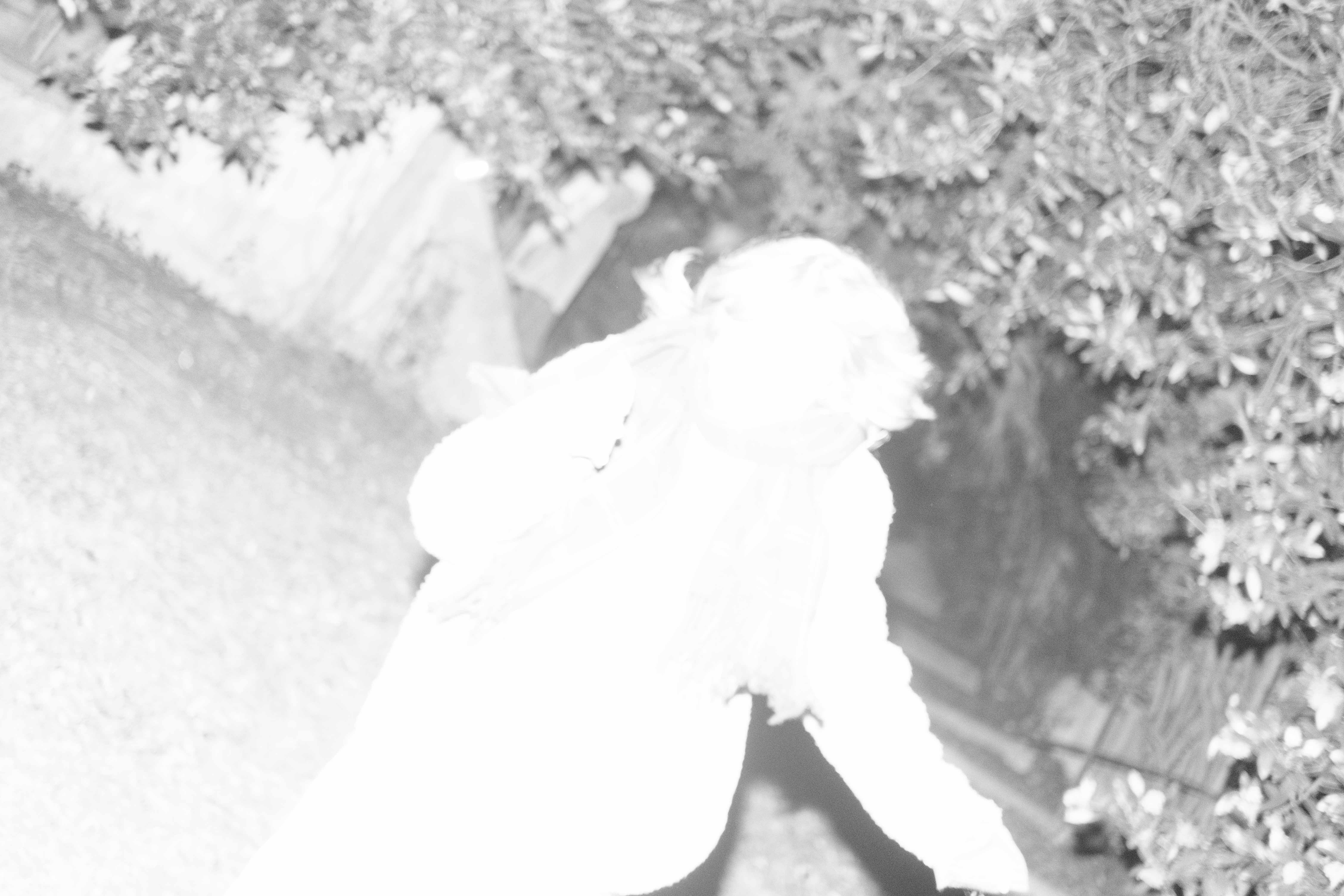 DEMAIN JE SERAI PLUSIEURS — un livre photo collectif - Ulule