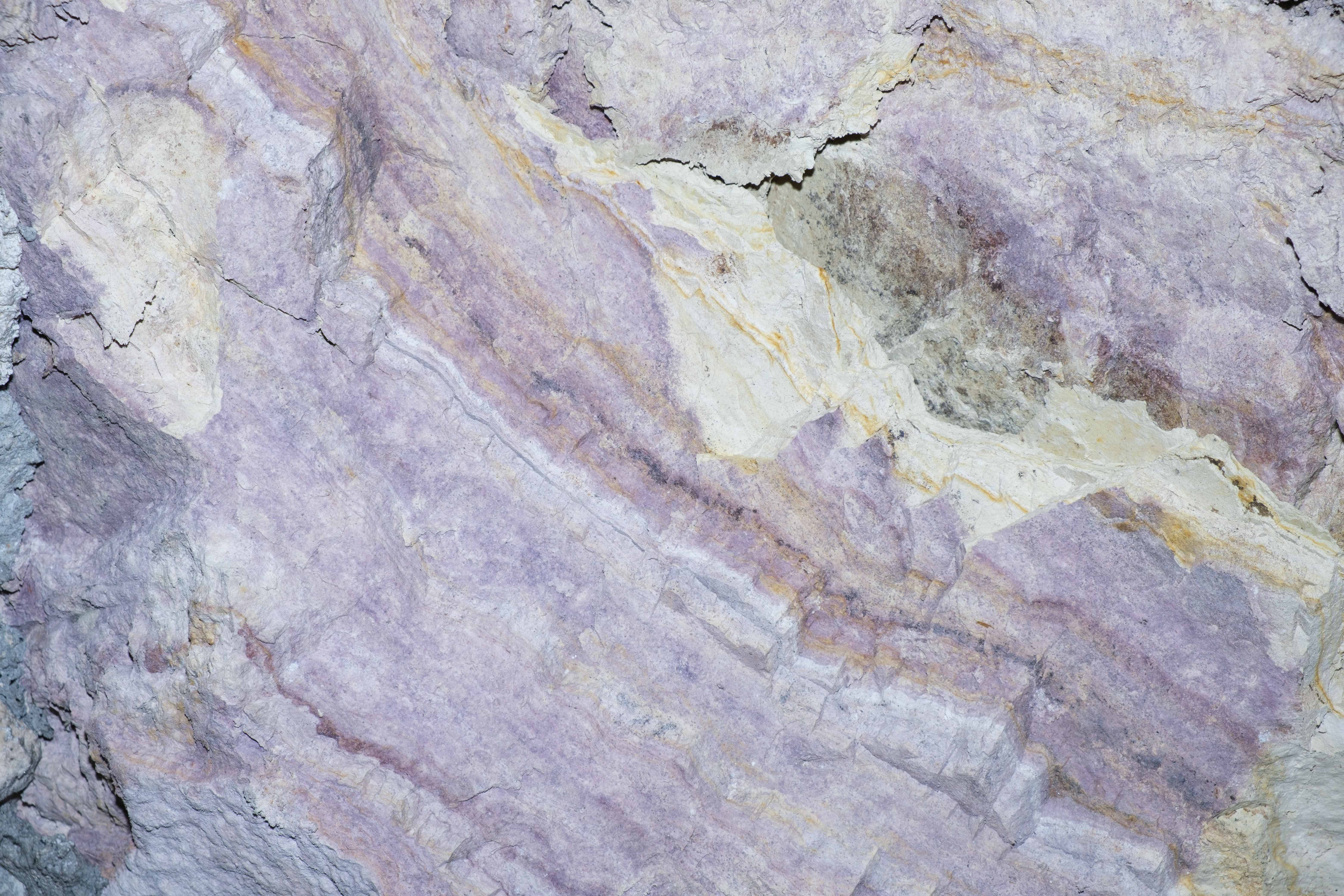 DEMAIN JE SERAI PLUSIEURS — un livre photo collectif - Ulule