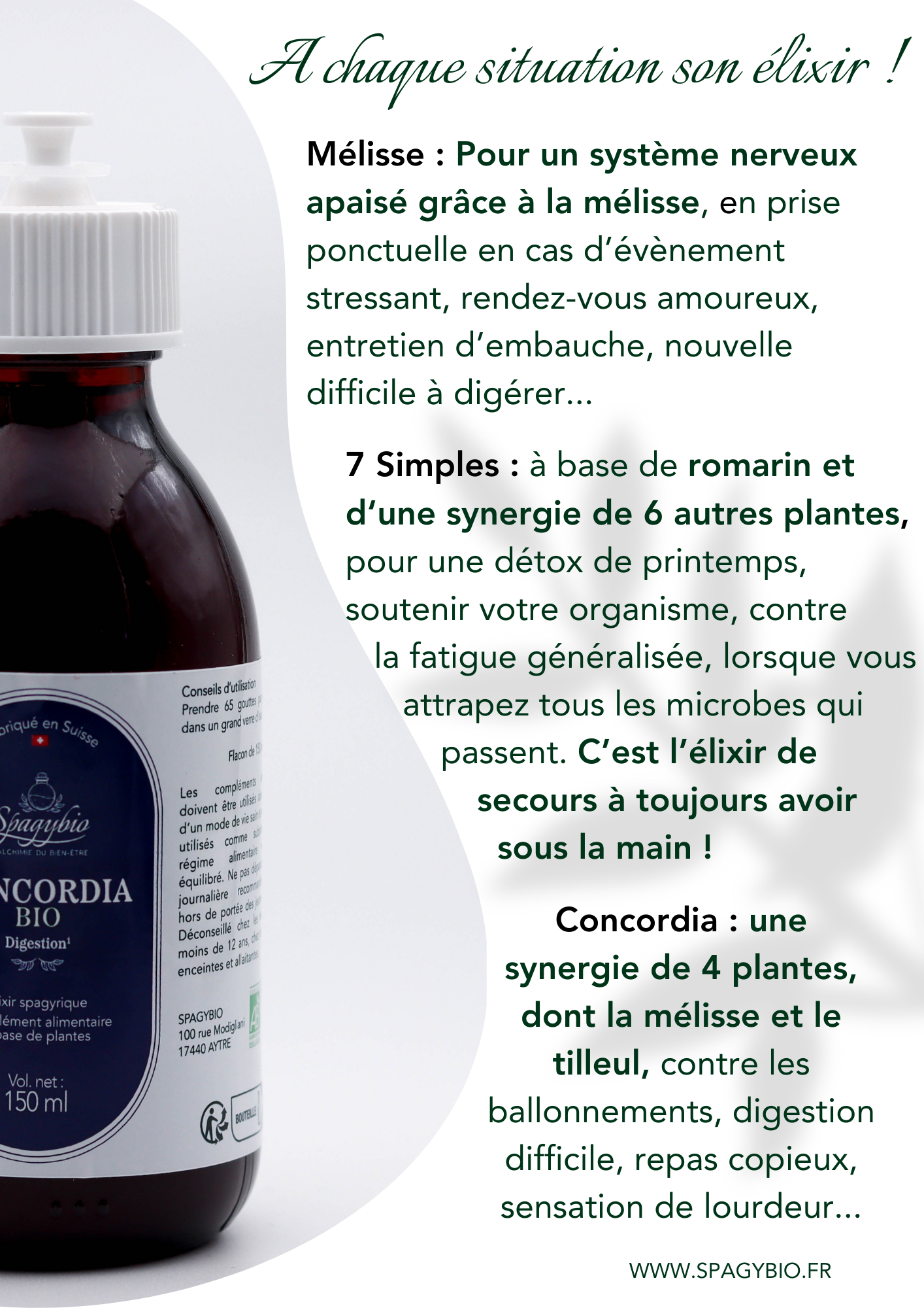 Spagybio : l'alchimie du bien-être