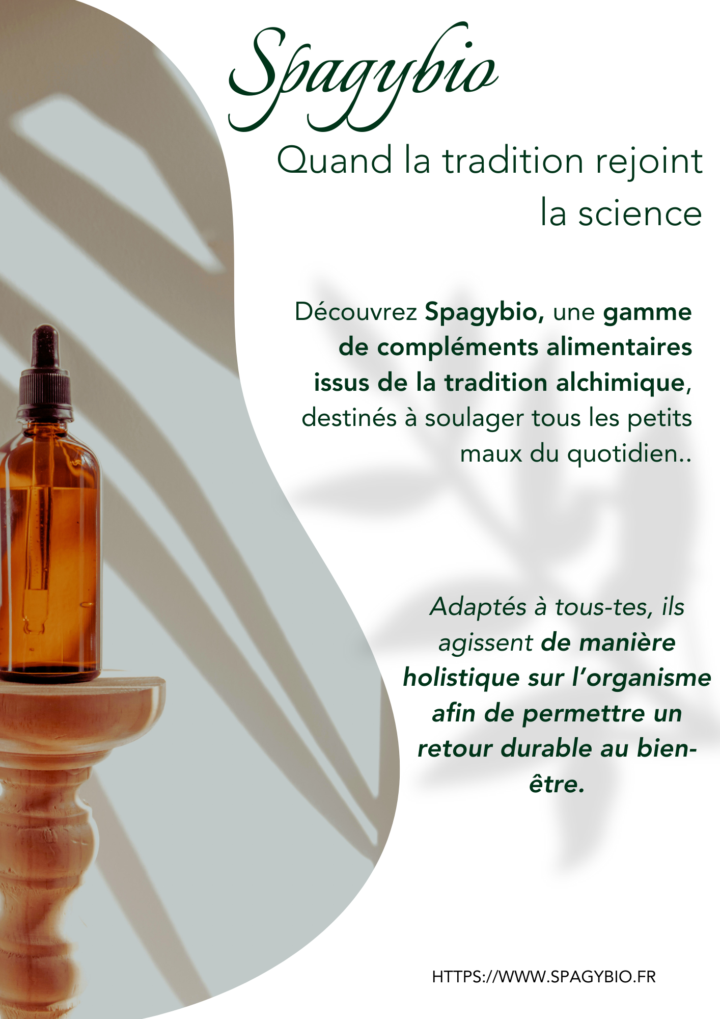 Spagybio : l'alchimie du bien-être