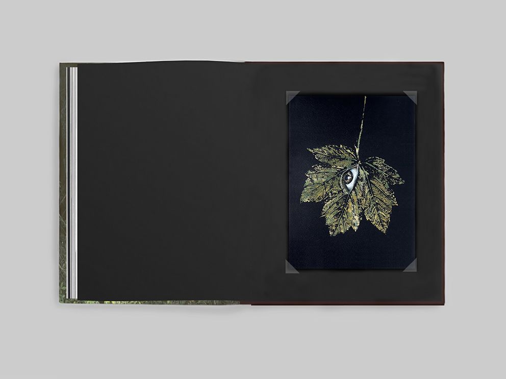 Monographie Katia Bourdarel