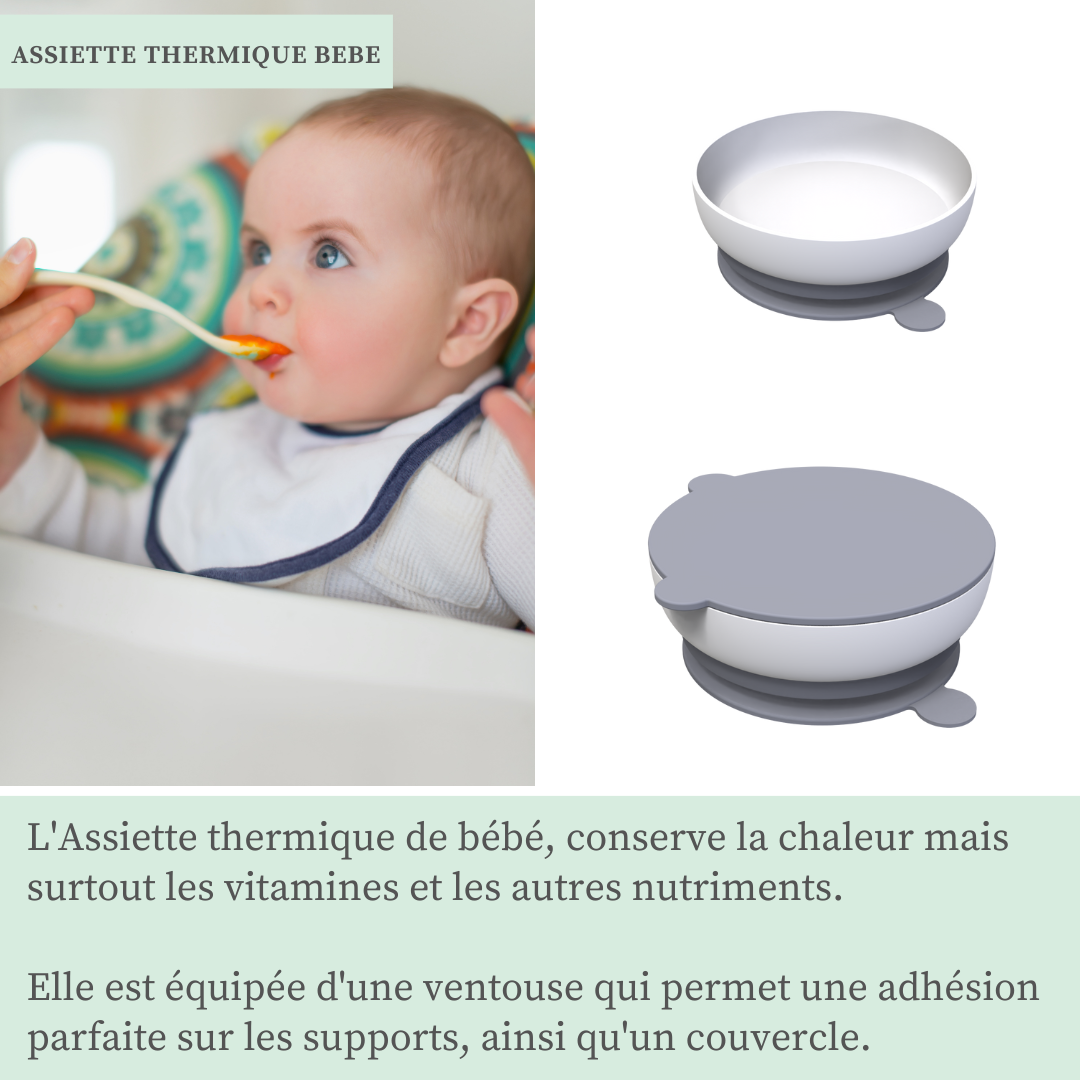 Maceo. L'assiette thermique pour manger à votre rythme ! - Ulule