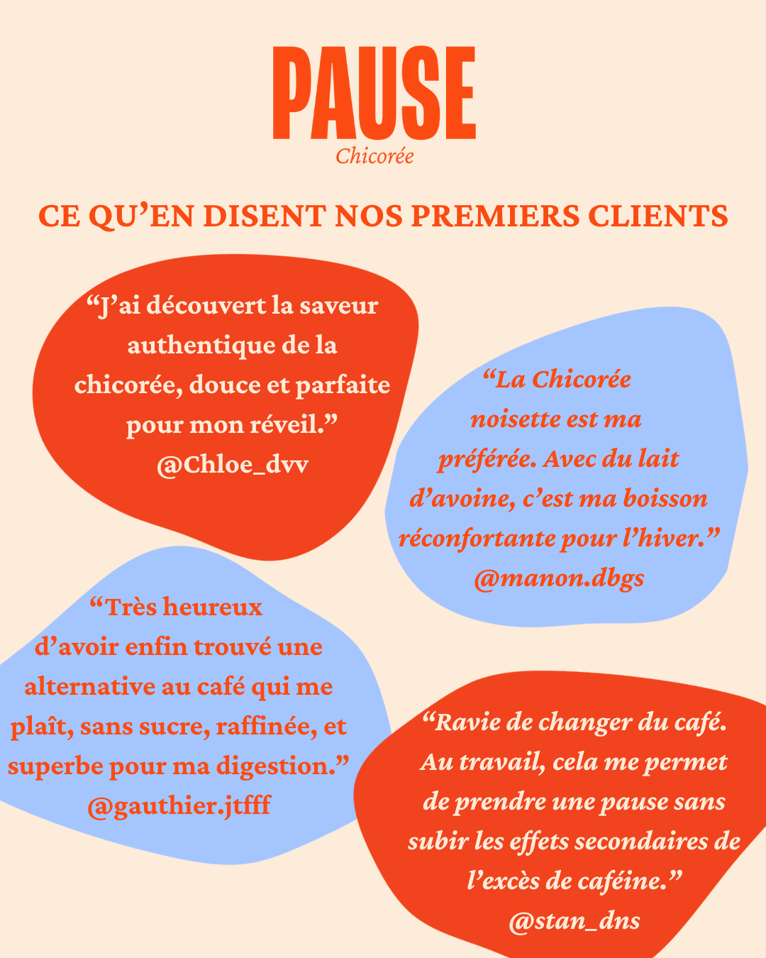 PAUSE CHICOREE - Ulule