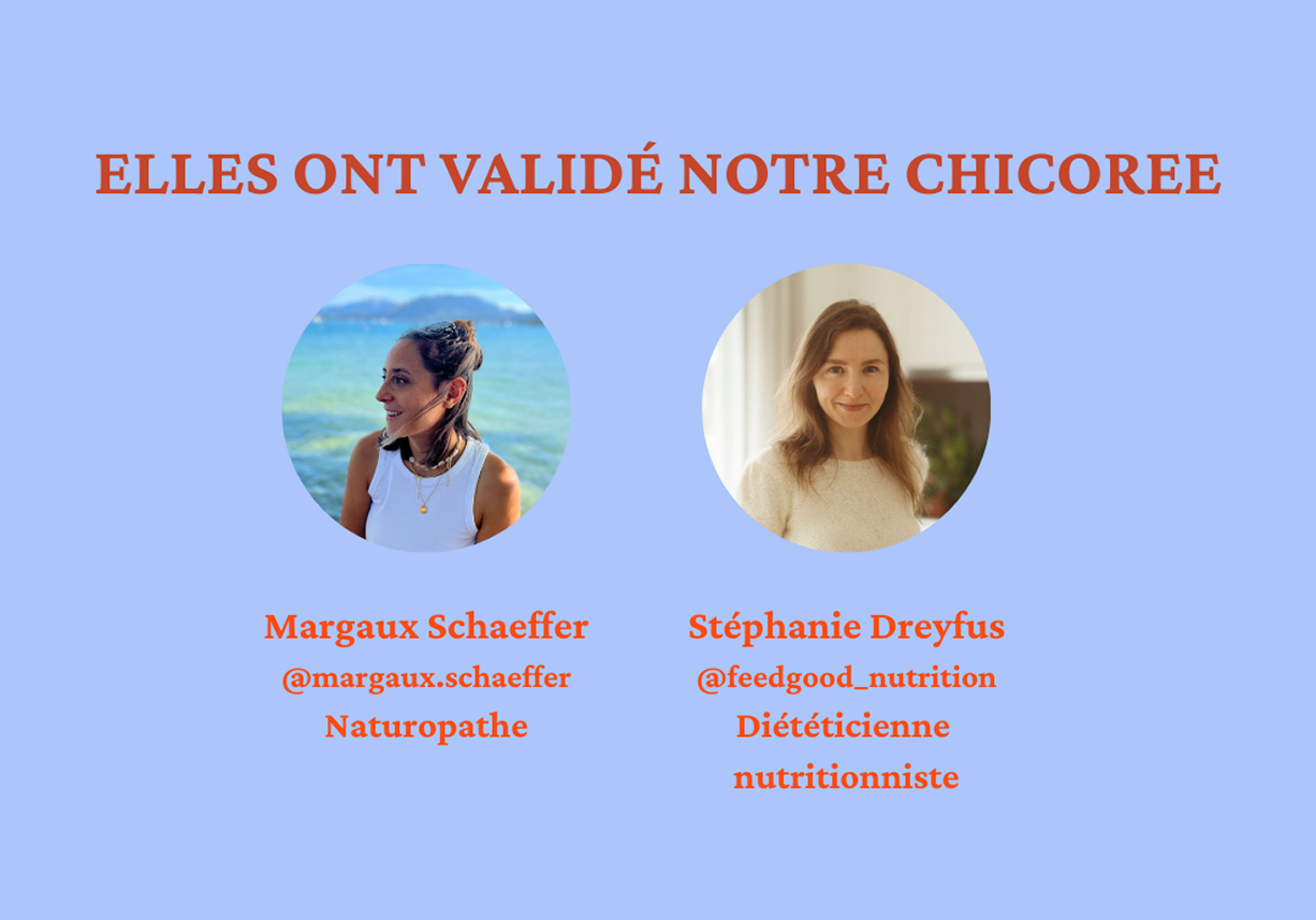 PAUSE CHICOREE - Ulule