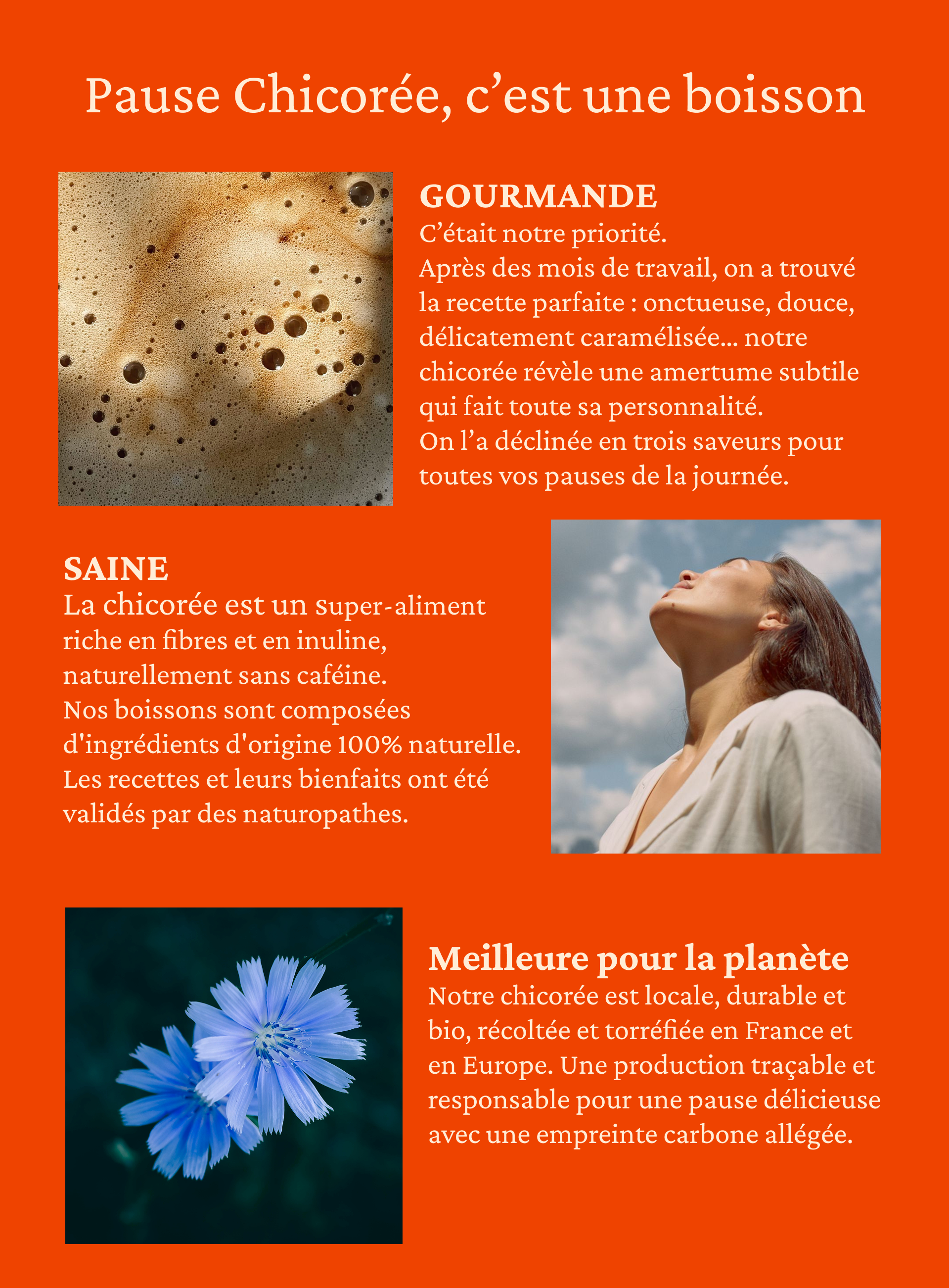 PAUSE CHICOREE - Ulule