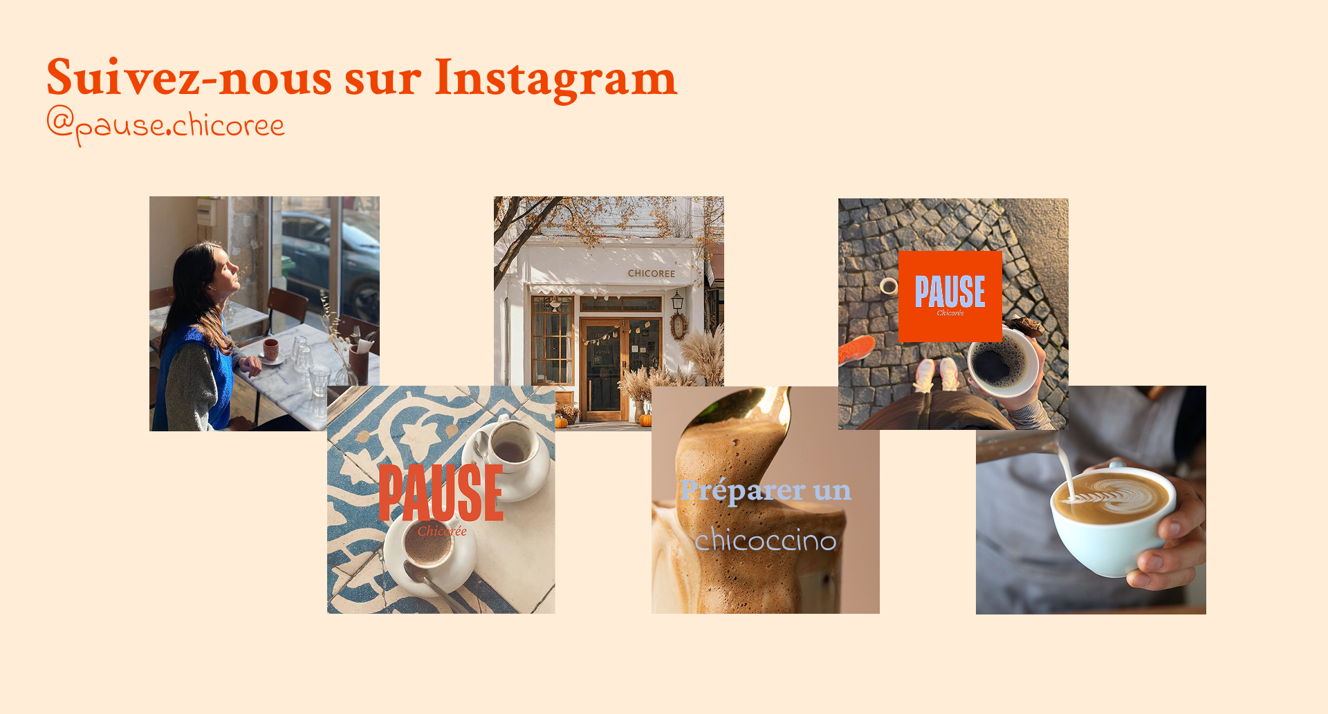 PAUSE CHICOREE - Ulule