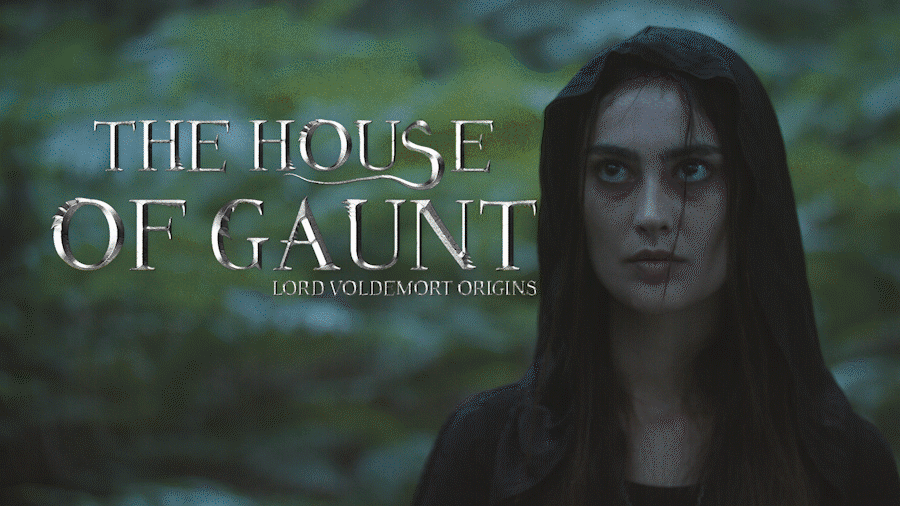 julien-voisin - Ulule