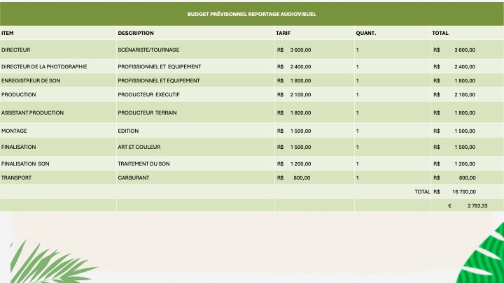 Filmons une expérience culturelle et solidaire au Brésil - Ulule