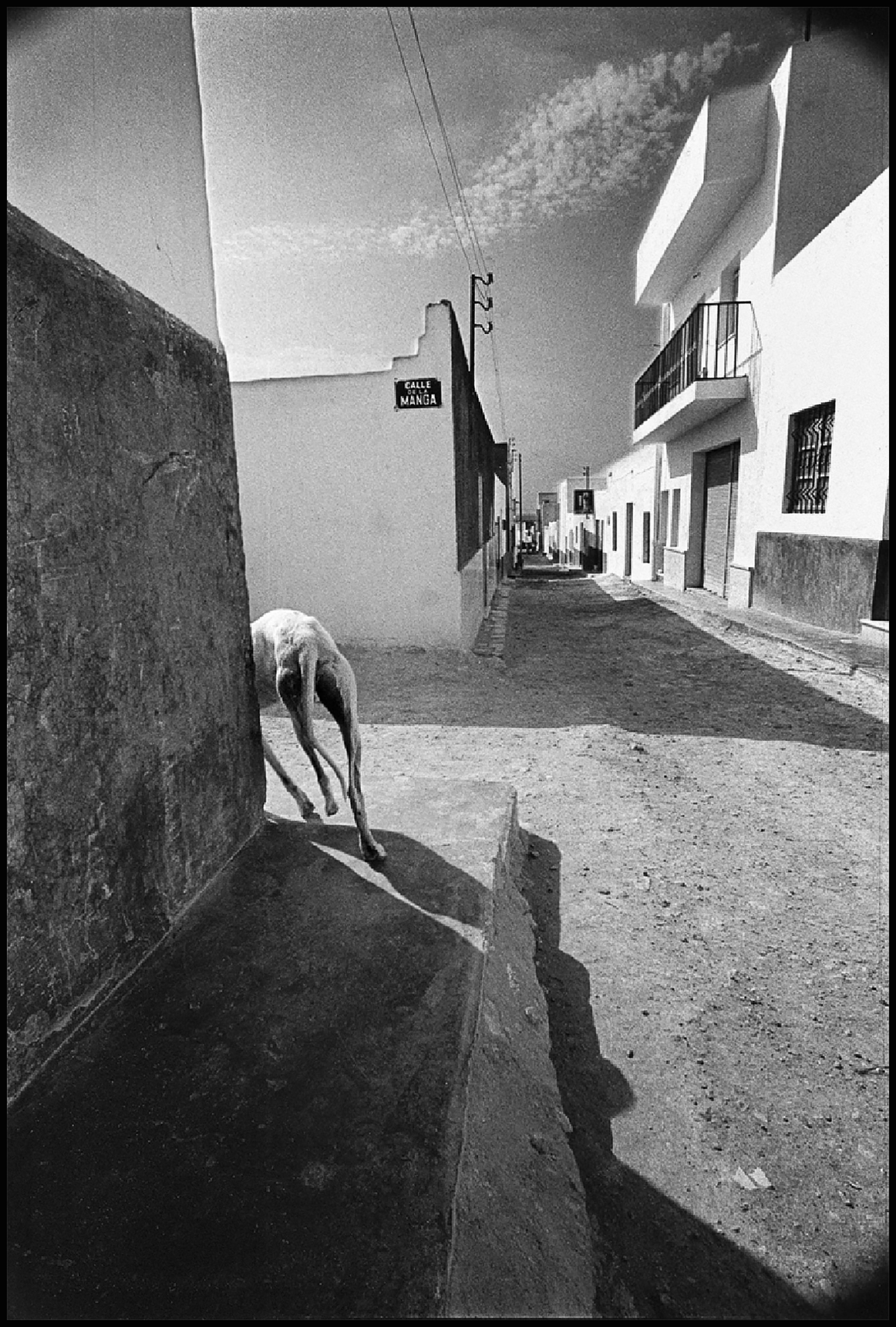 Bernard GILLE - 50 ANS D'IMAGES