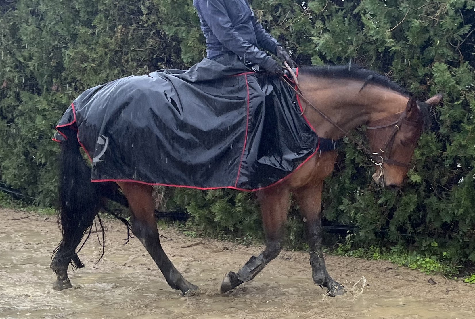 WET CAPE LA CAPE COUVRE-REINS IMPERMÉABLE ET RESPIRANTE POUR LE CHEVAL - Ulule