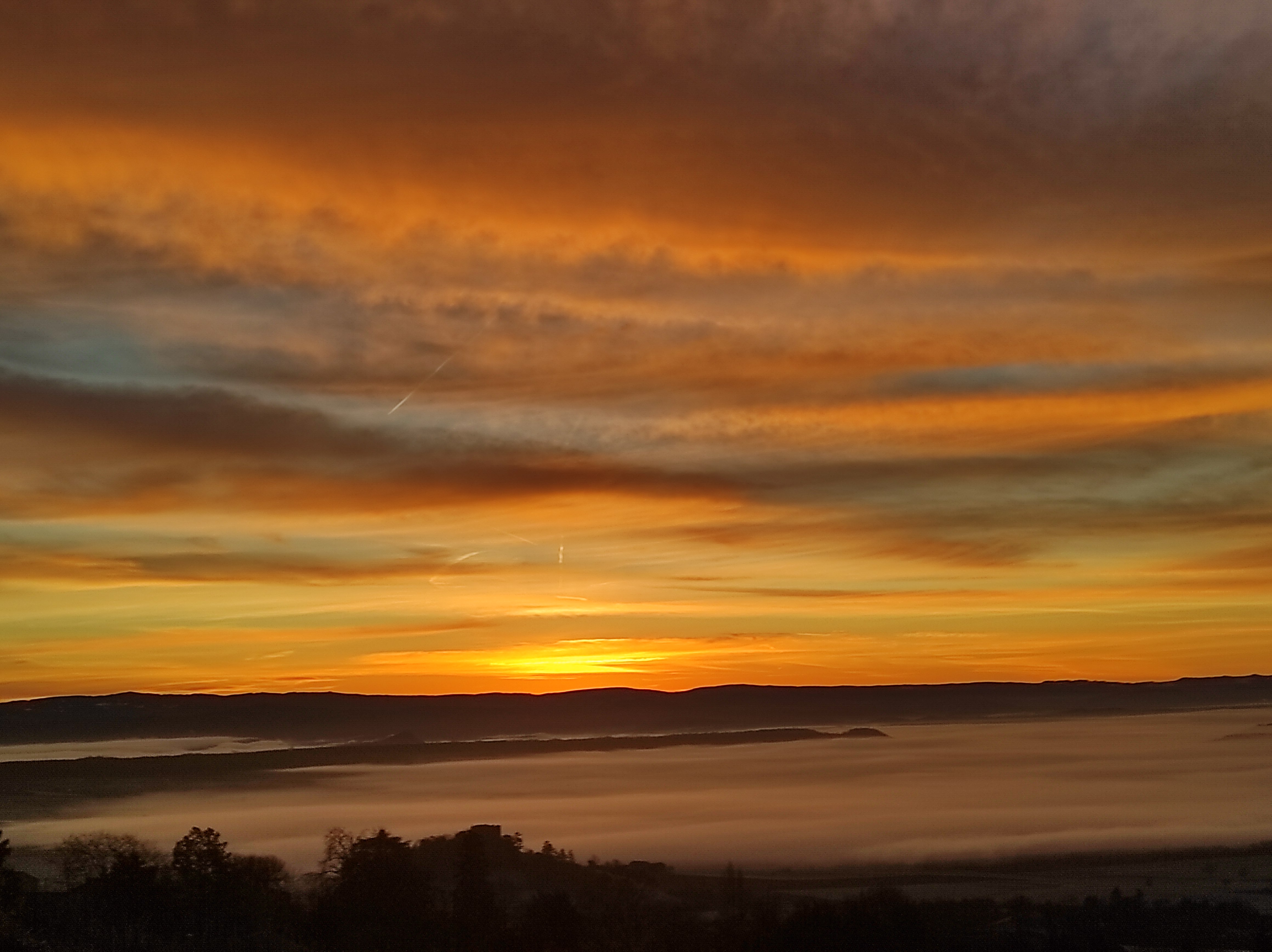 FRISSON ANIMAL LIVRES ILLUSTRÉS LA TRILOGIE - Ulule