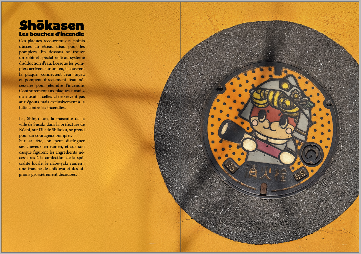 LES PLAQUES D'ÉGOUTS DU JAPON