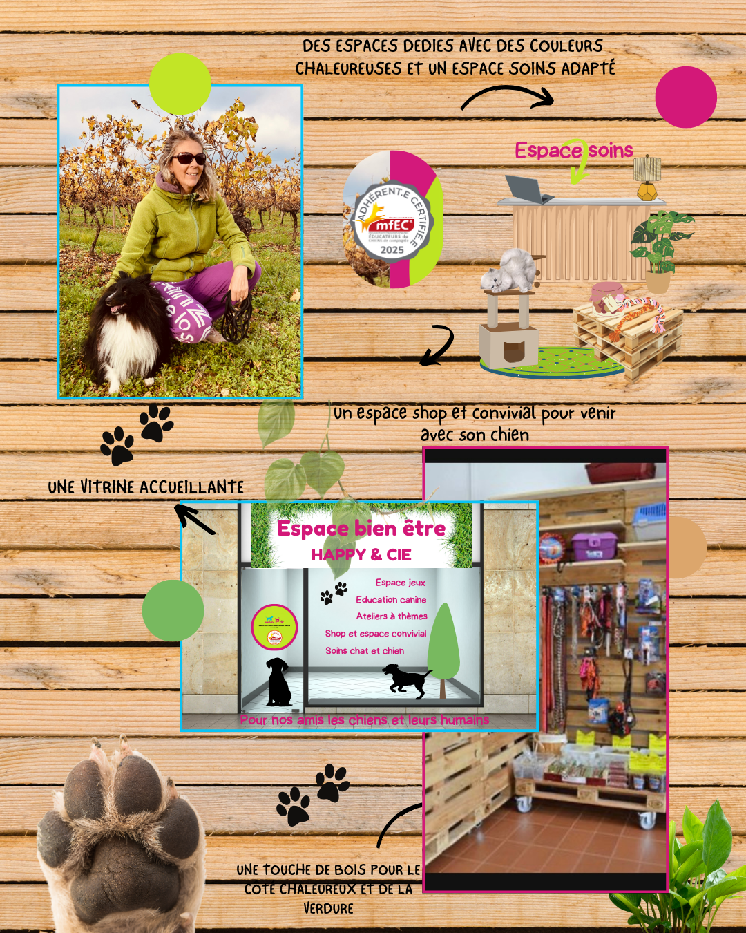 Création d'un espace bien être canin et félin Angoulême