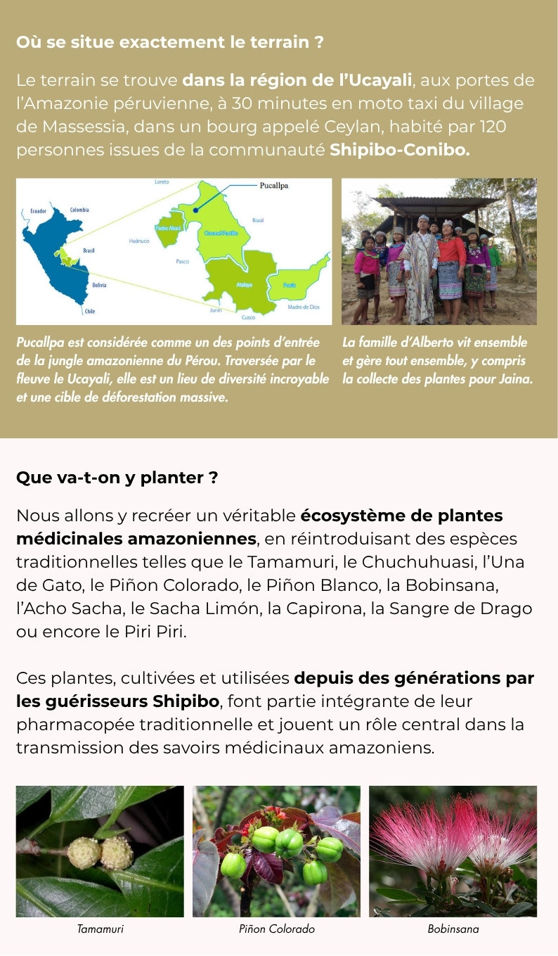 Redonner vie à l’Amazonie, préserver ses secrets