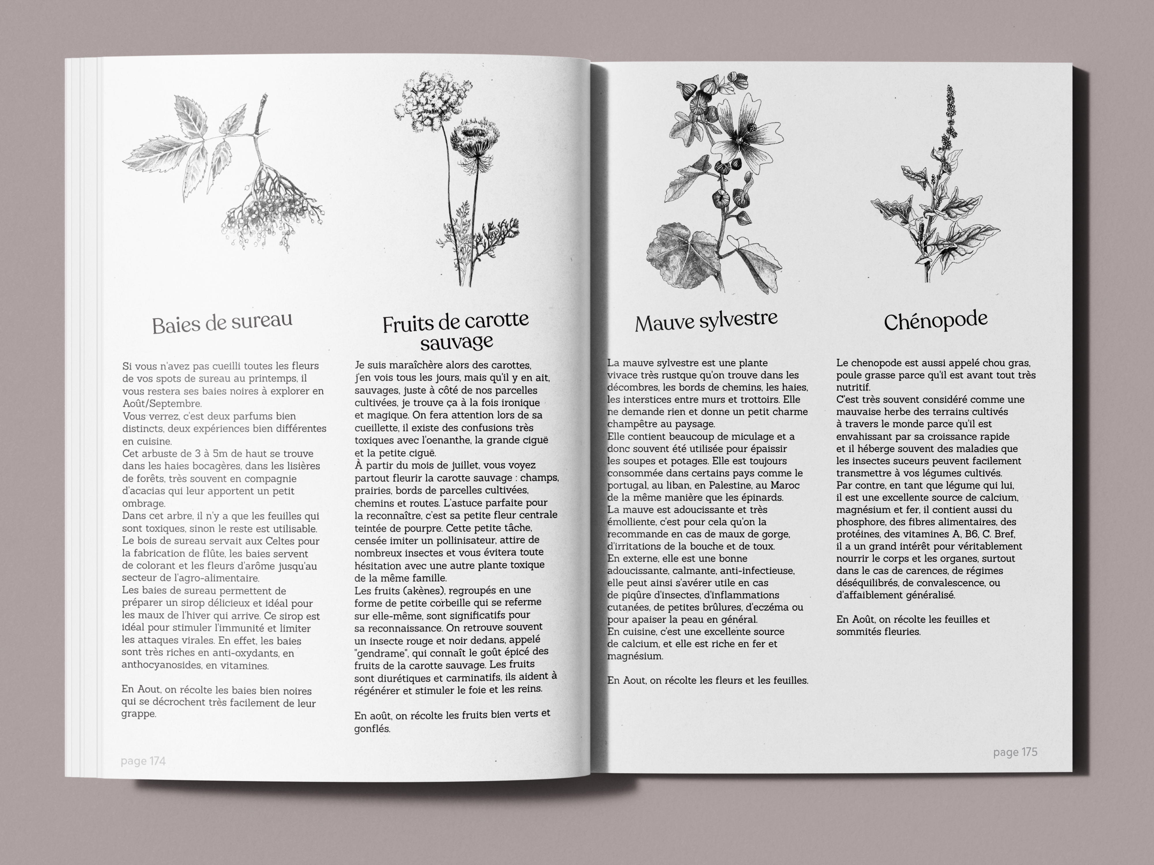 Tous les goûts sont dans la Nature - Ulule