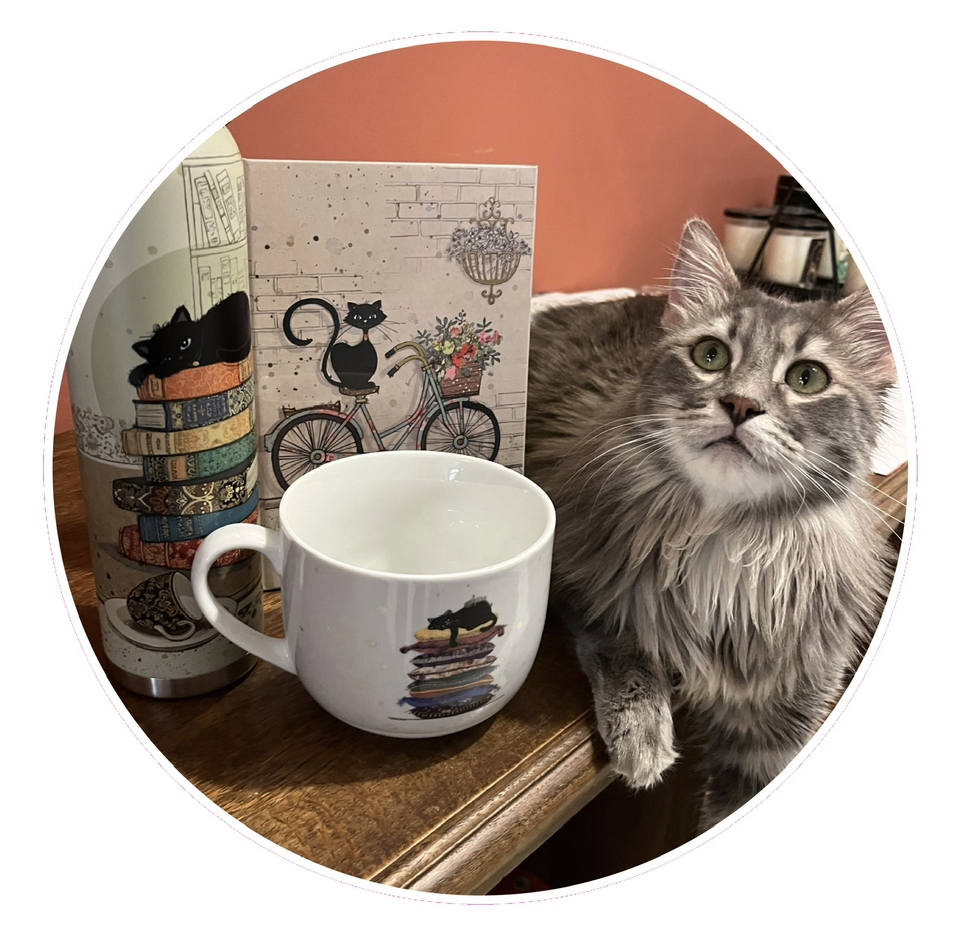 Mon Chat Pitre - Ulule