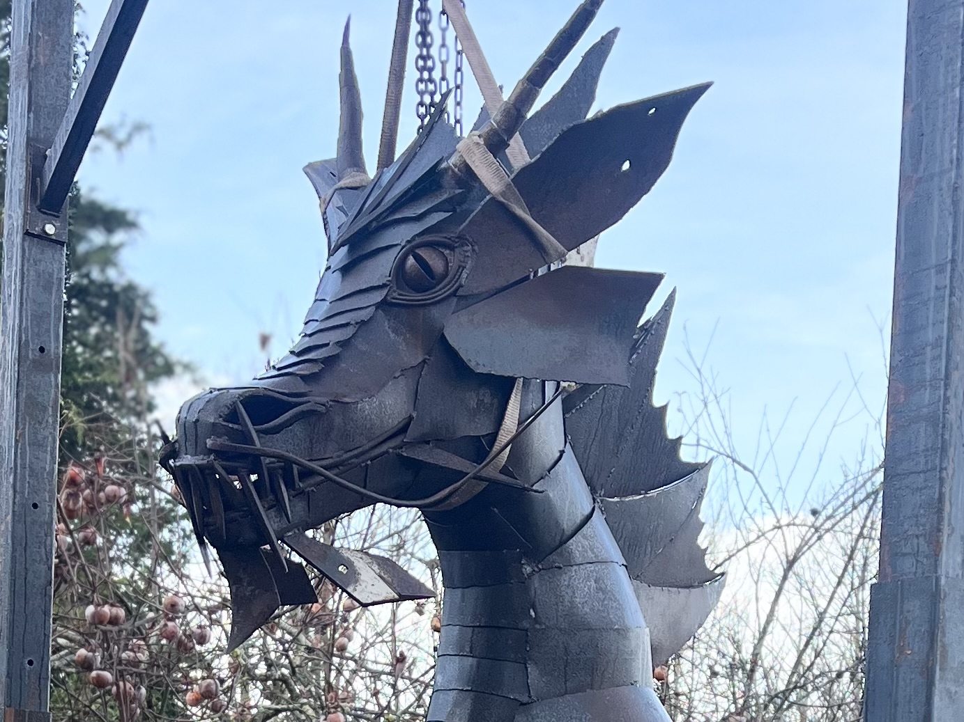 VOLKANE le Dragon - Ulule