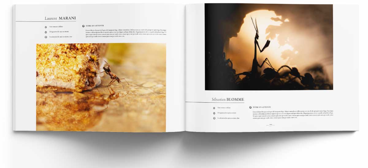 L'Art De La Proxiphotographie : Le Livre - Ulule