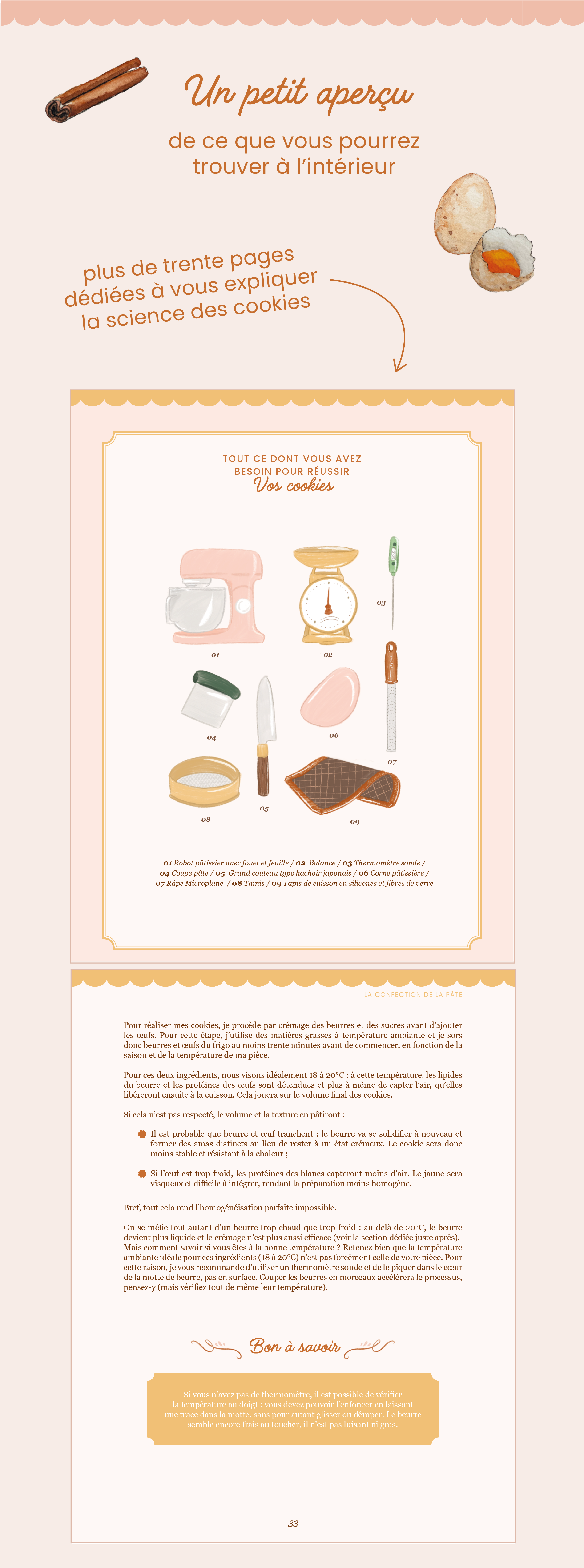 Le livre 100% cookies pour TOUT comprendre & 31 recettes