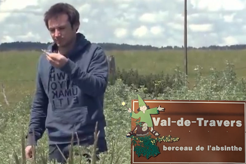 Blanche Neige, cette absinthe féérique renait en France - Ulule