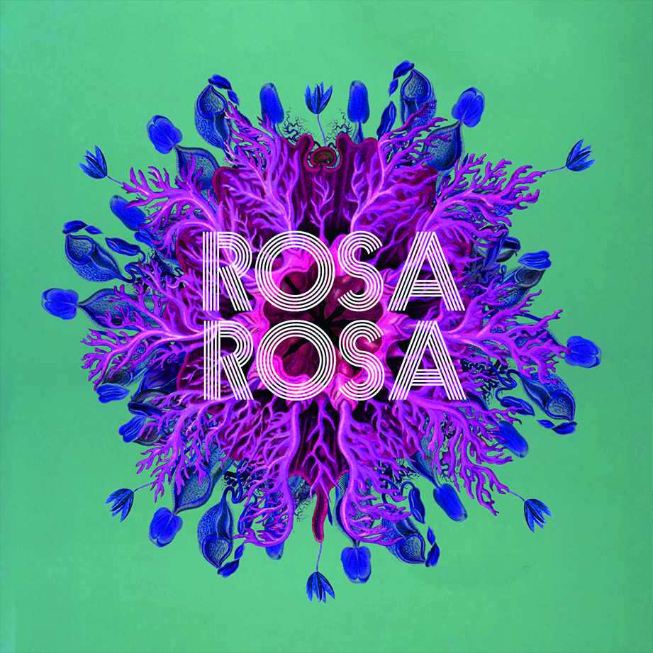 ROSA ROSA - 1er EP
