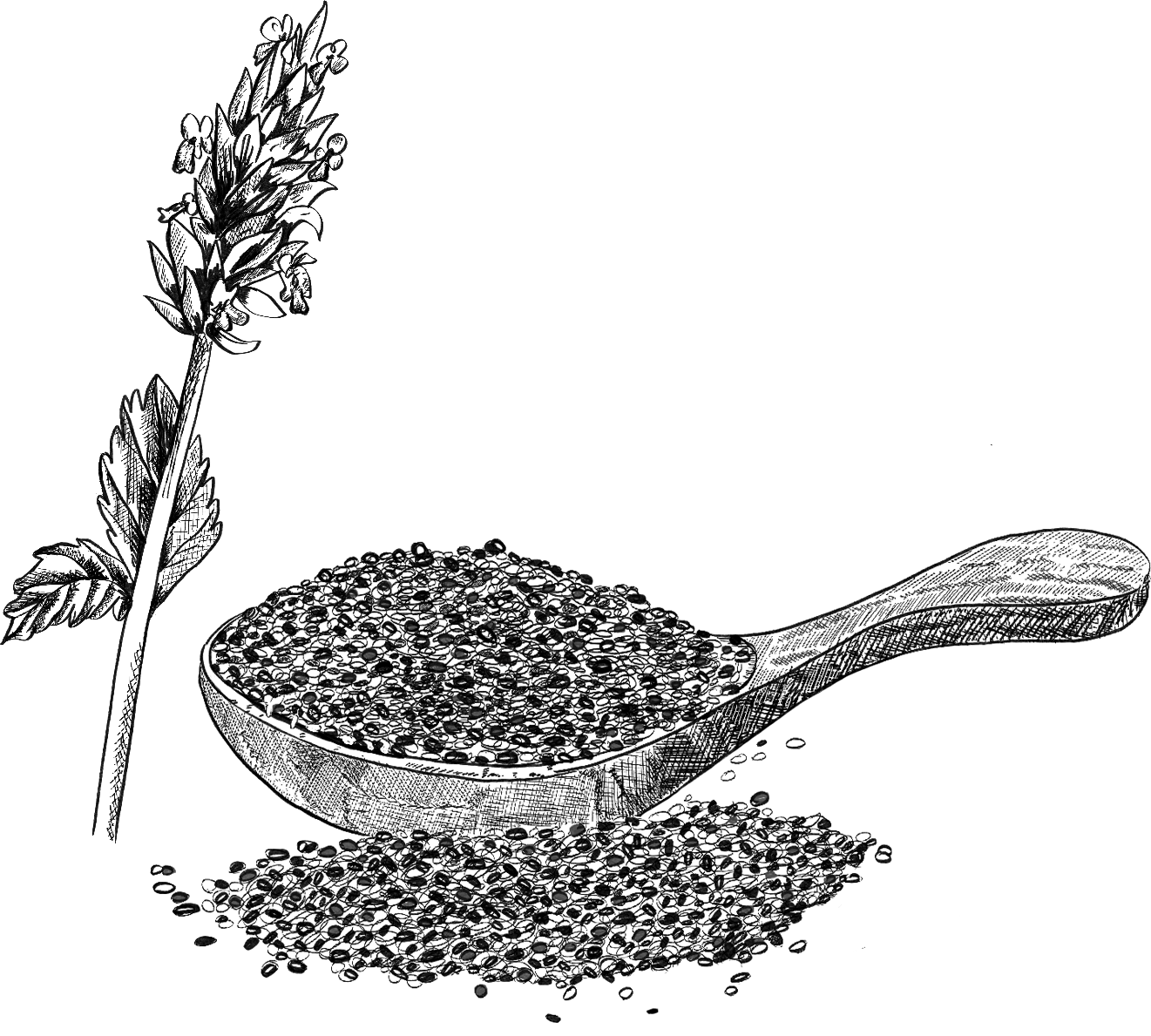 Cuisiner Beau & Bon - Ulule