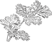 Cuisiner Beau & Bon - Ulule