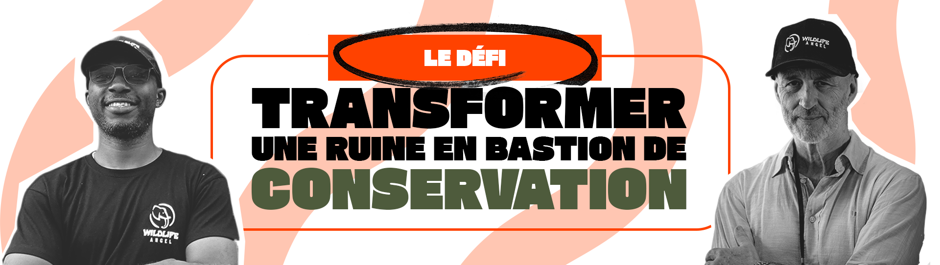 Un toit pour protéger la faune sauvage - FIN, MERCI À TOUS ! - Ulule