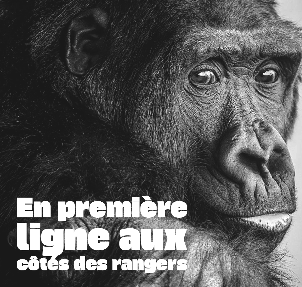 Un toit pour protéger la faune sauvage - FIN, MERCI À TOUS ! - Ulule