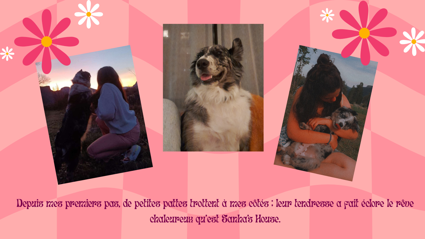 Sanha’s House, un lieu où plusieurs univers s’entremêlent...