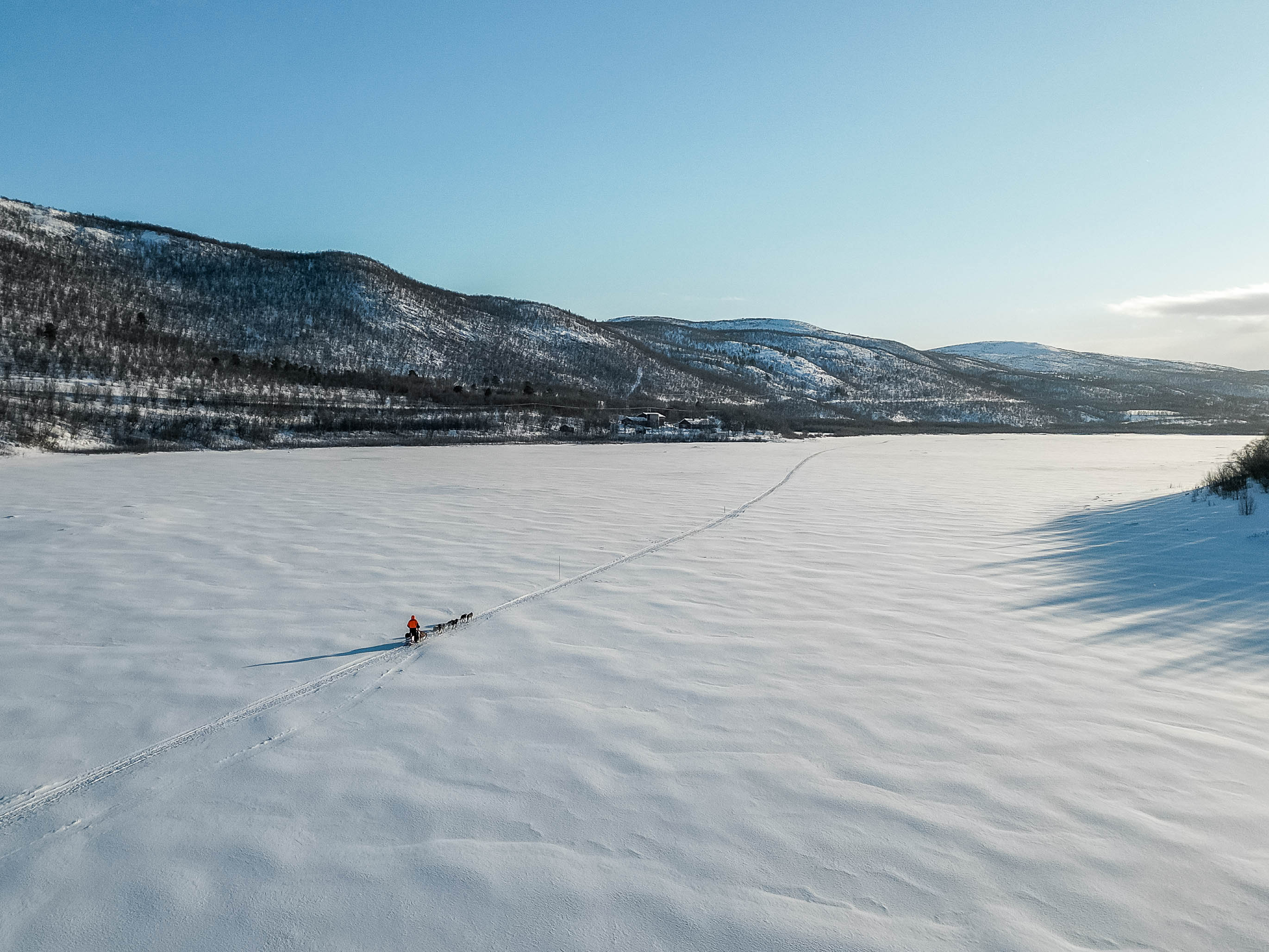 MUSHERS - Born To Run - Ulule
