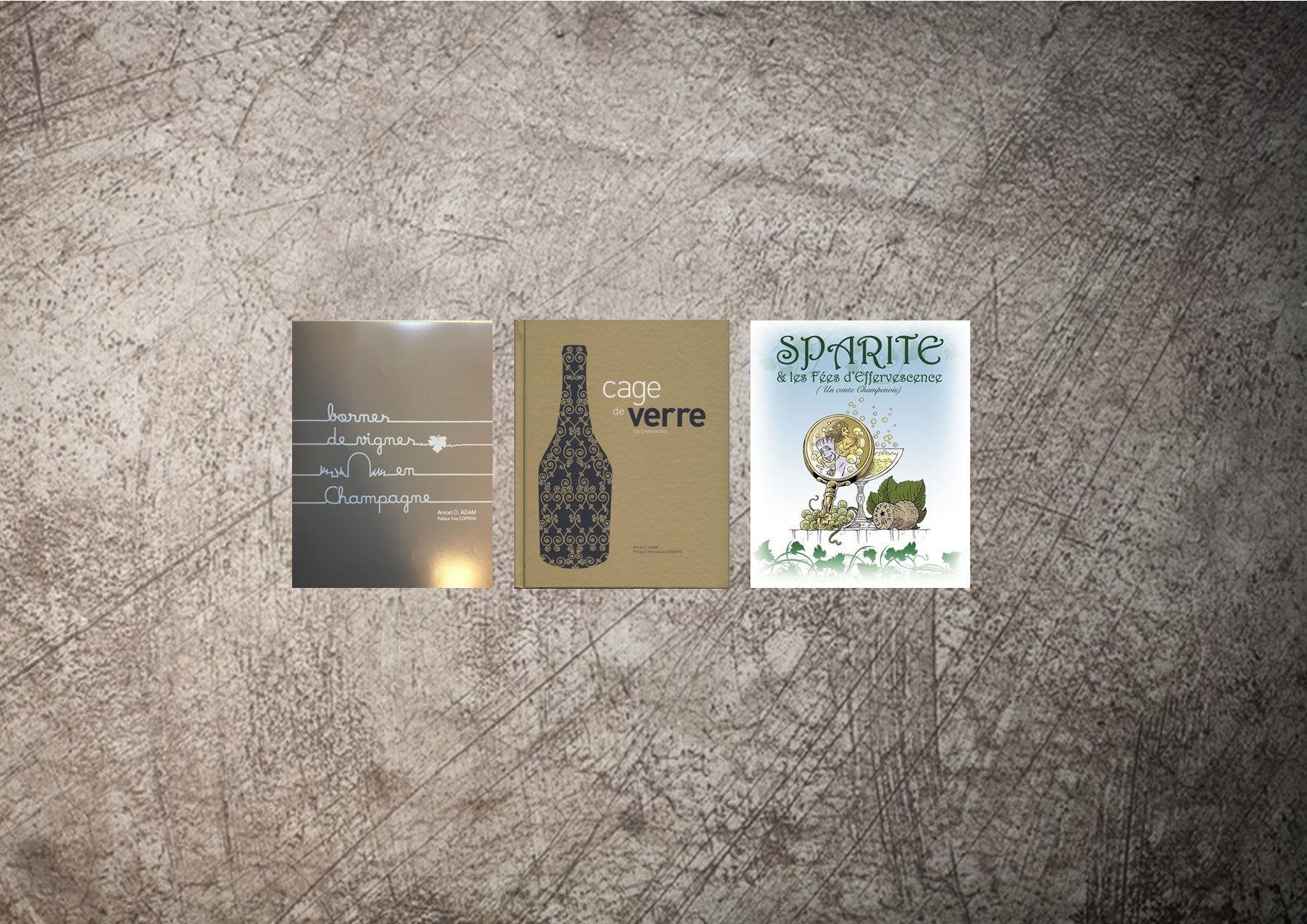 Bornes de Vignes en Champagne , le livre