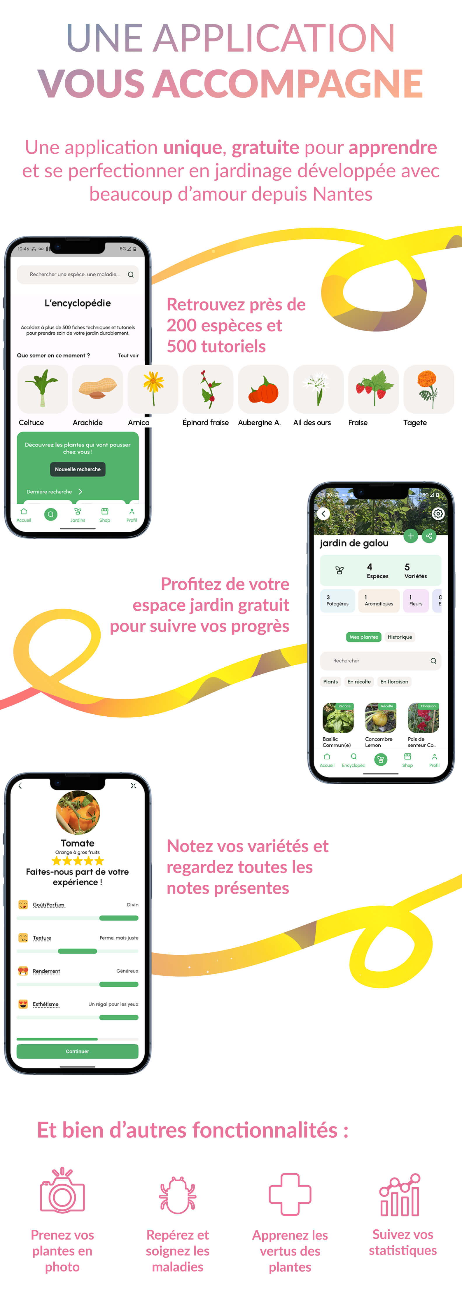 Calendrier de l'avent spécial potager extraordinaire