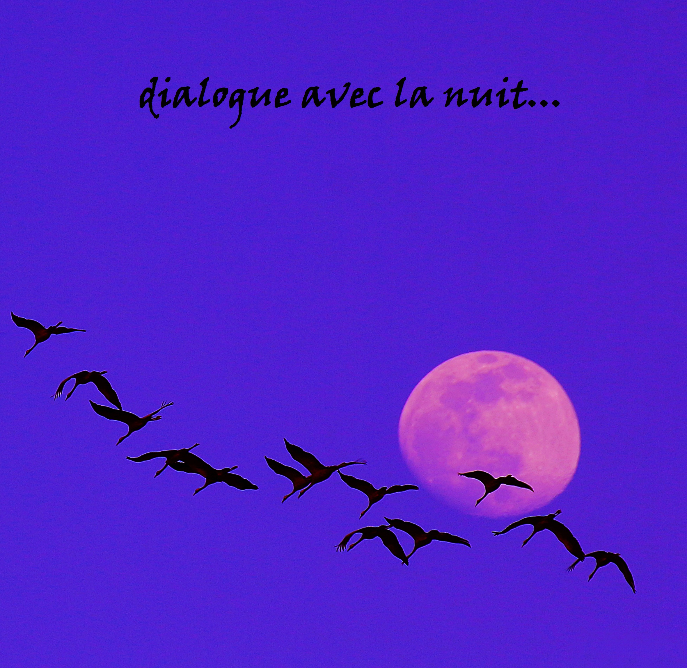 COIN DE TABLEAU