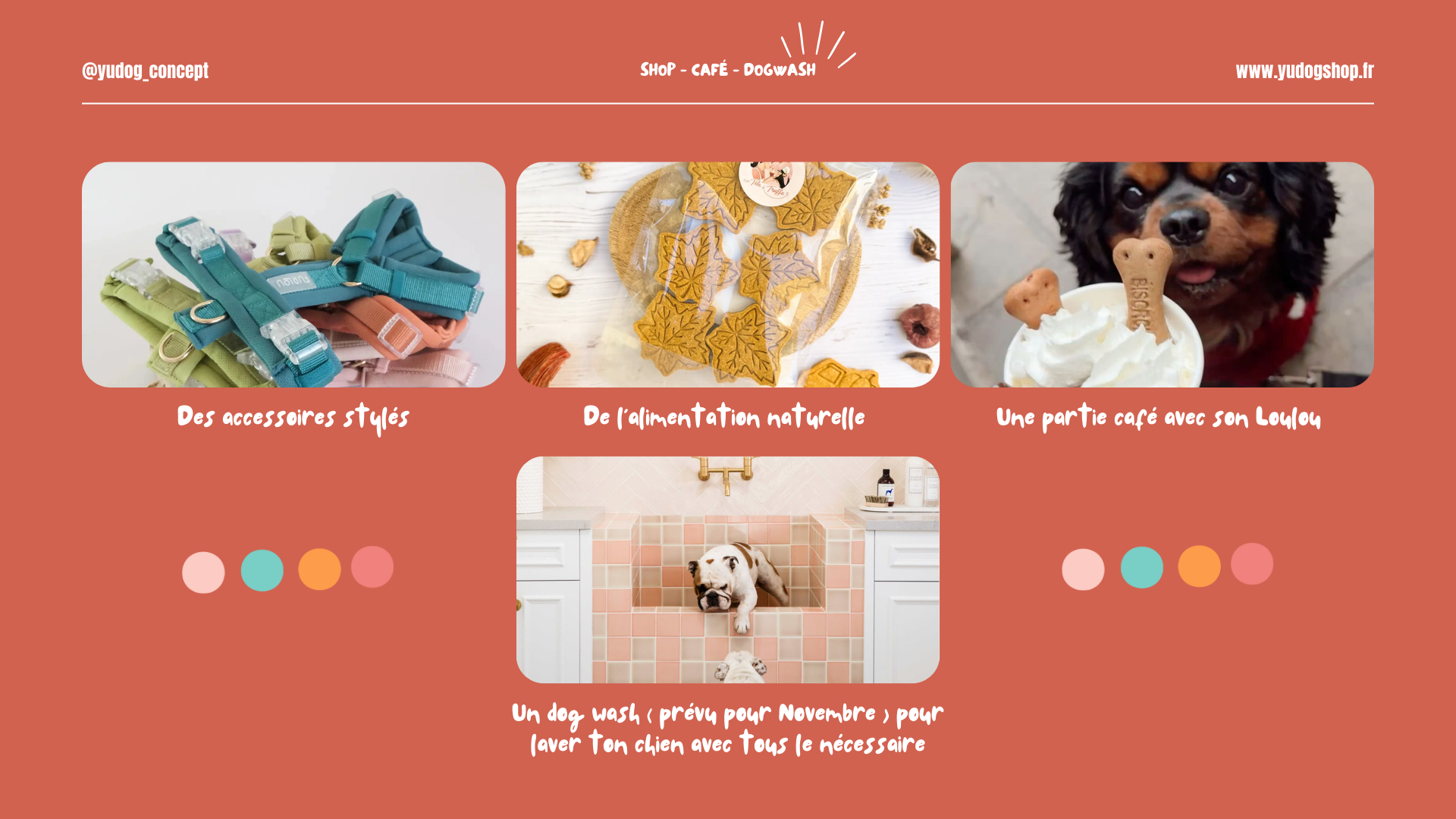 Yudog – Le 1er concept store pour chiens au Mans 🐾