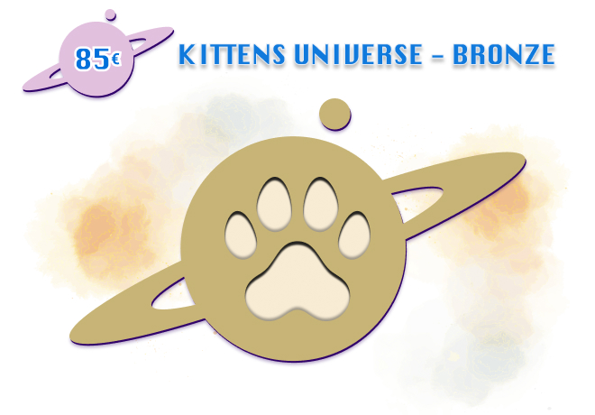 SPACE KITTENS - TOME 3