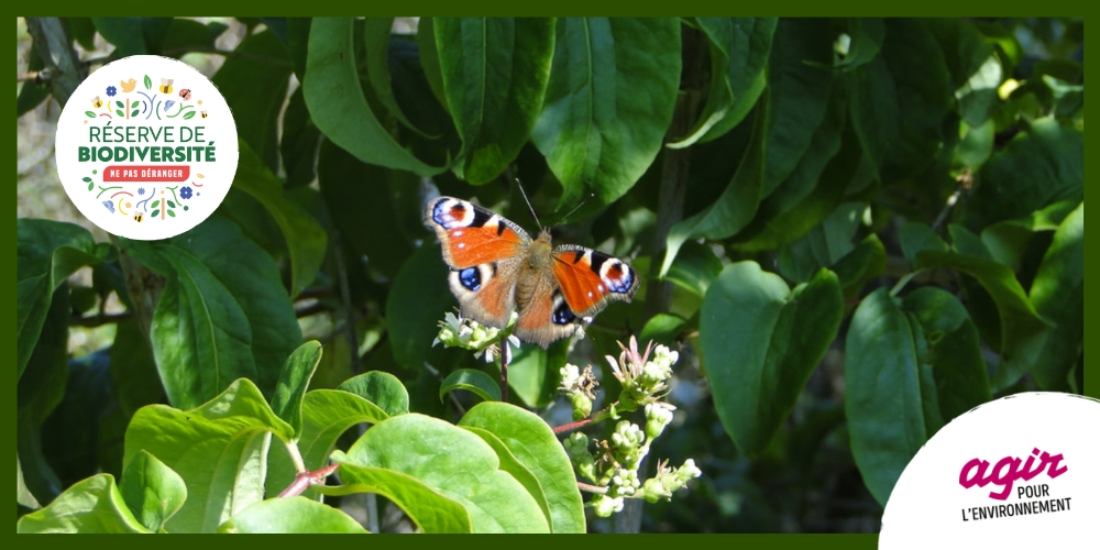 Préservons 1 million de m² de nature pour 99 ans - Ulule
