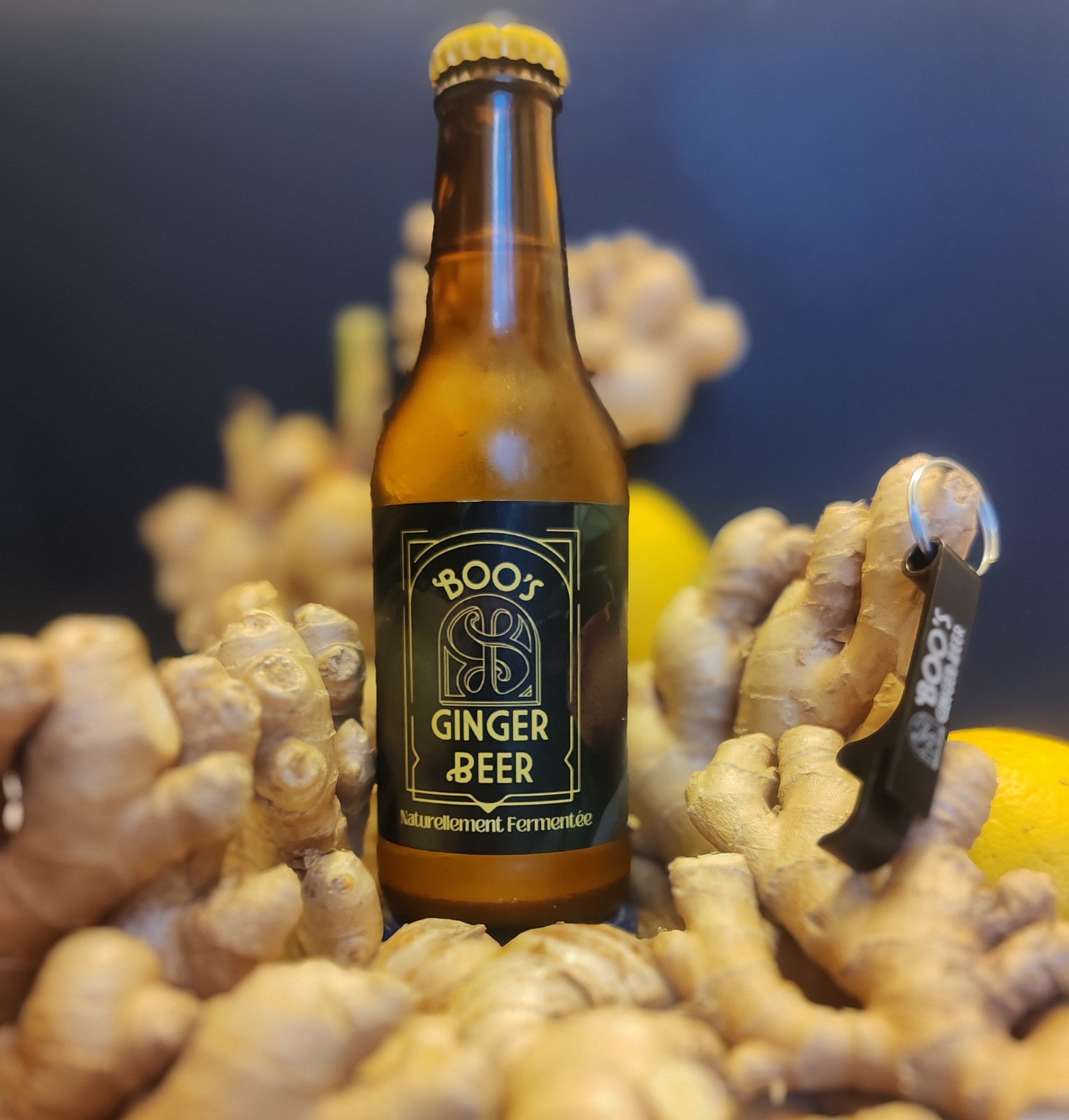 Drinks and Dreams, BOO'S GINGER BEER - Ulule