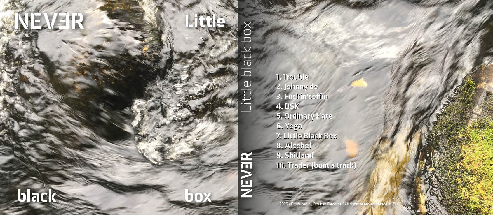 Little black box, le premier et dernier album de Never