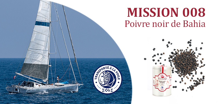 Le programme ÉOLE : transport d'épices à la voile - Ulule