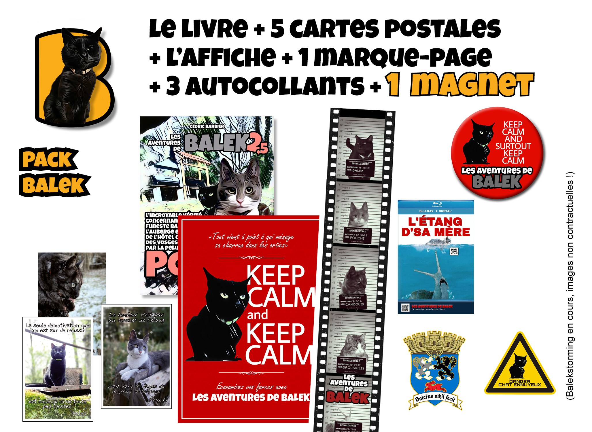 Balek, le chat le plus blasé du web, revient. - Ulule