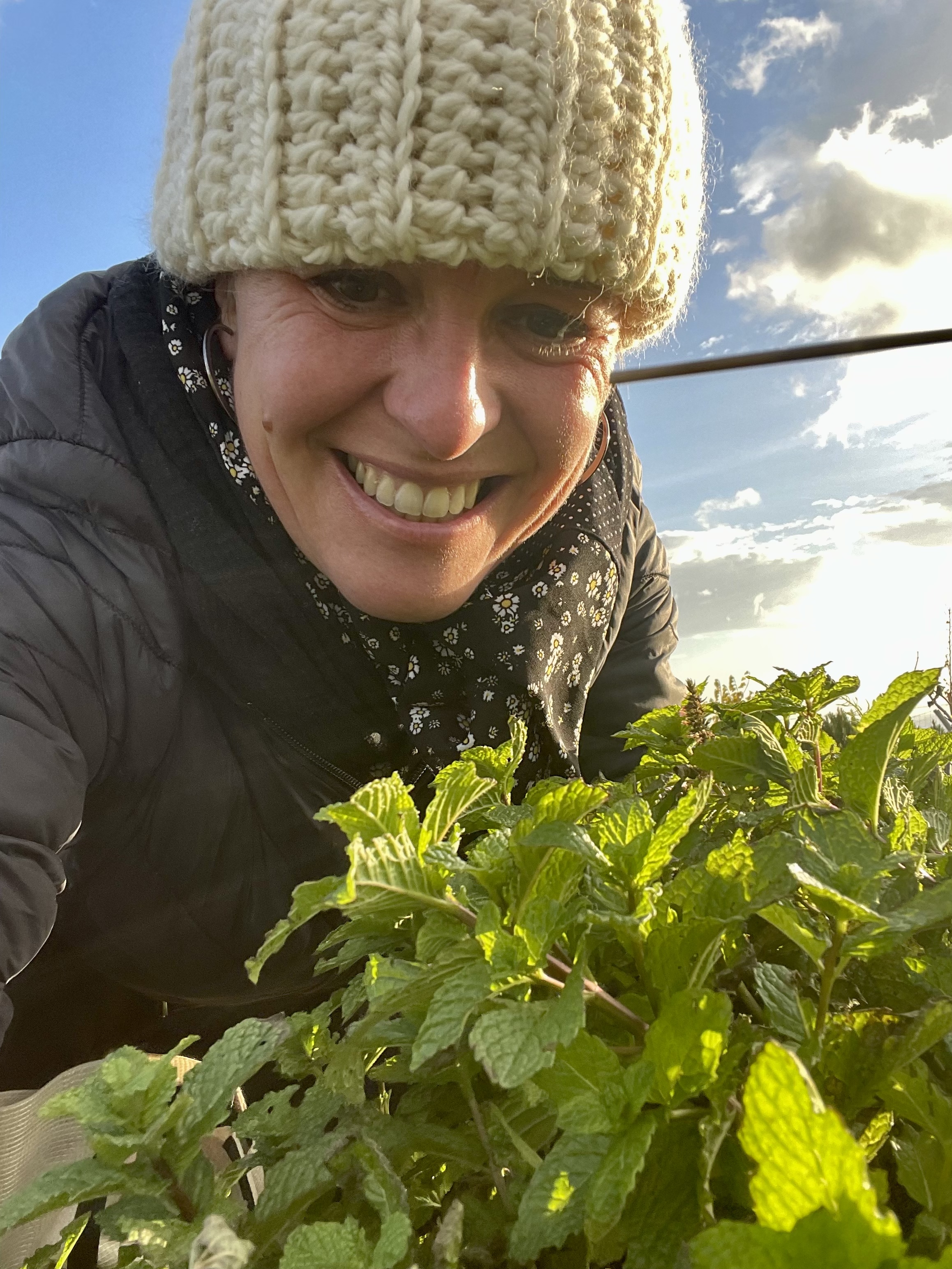 Nouvel espace de travail pour La Ferme Mielifique à Mornant - Ulule