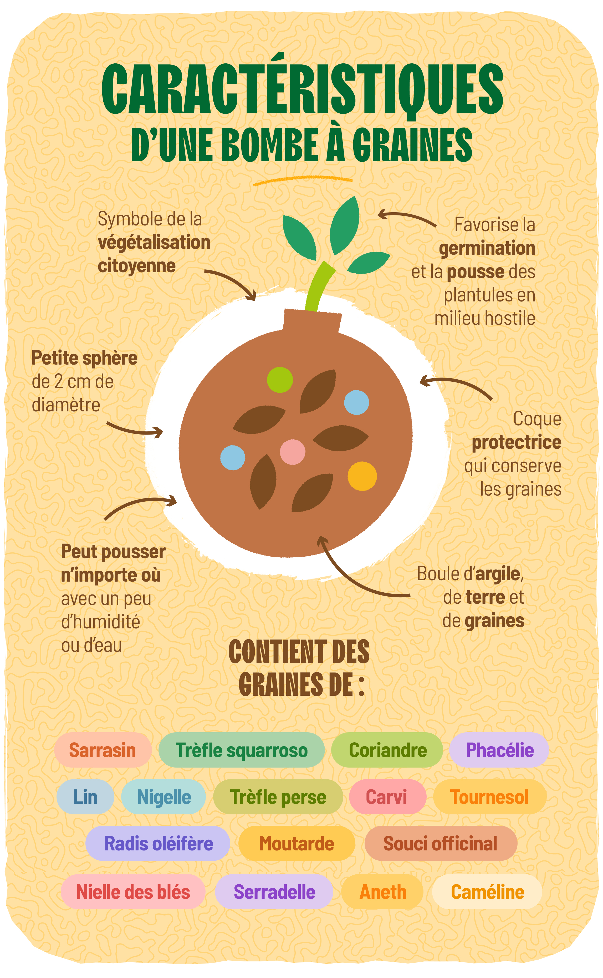Semons 100 000 bombes de fleurs pour les abeilles