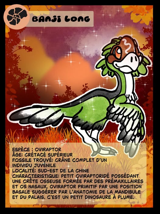 🐾 PréhisToony's🐾 Du fossile à la figurine - Ulule