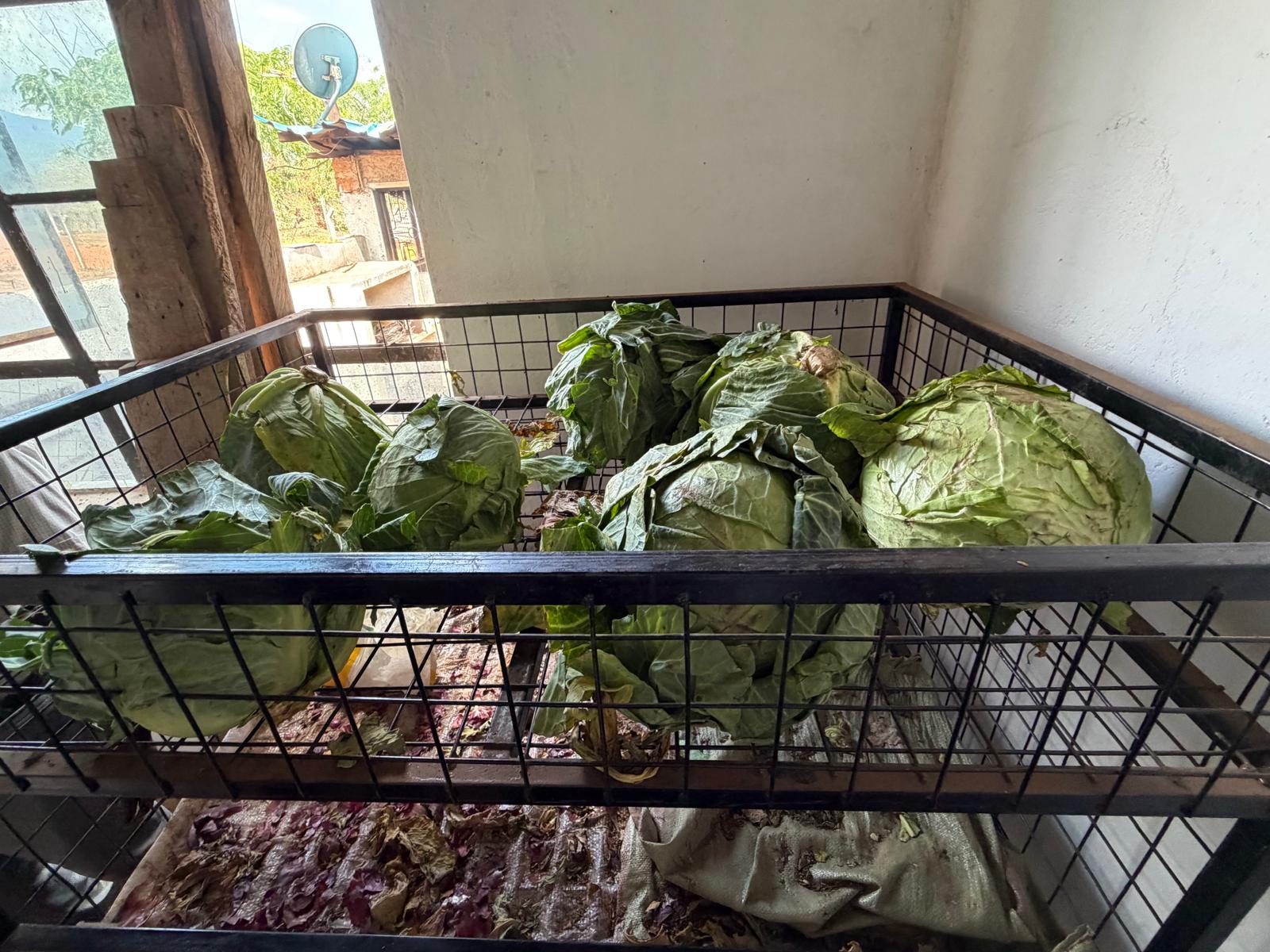 Fresh Water, Fresh Hope: Growing Nutrition for 50 Orphans - Ulule
